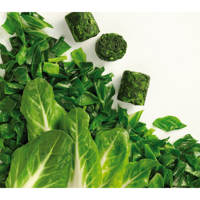 PASFROST BETTE-RAVE 15